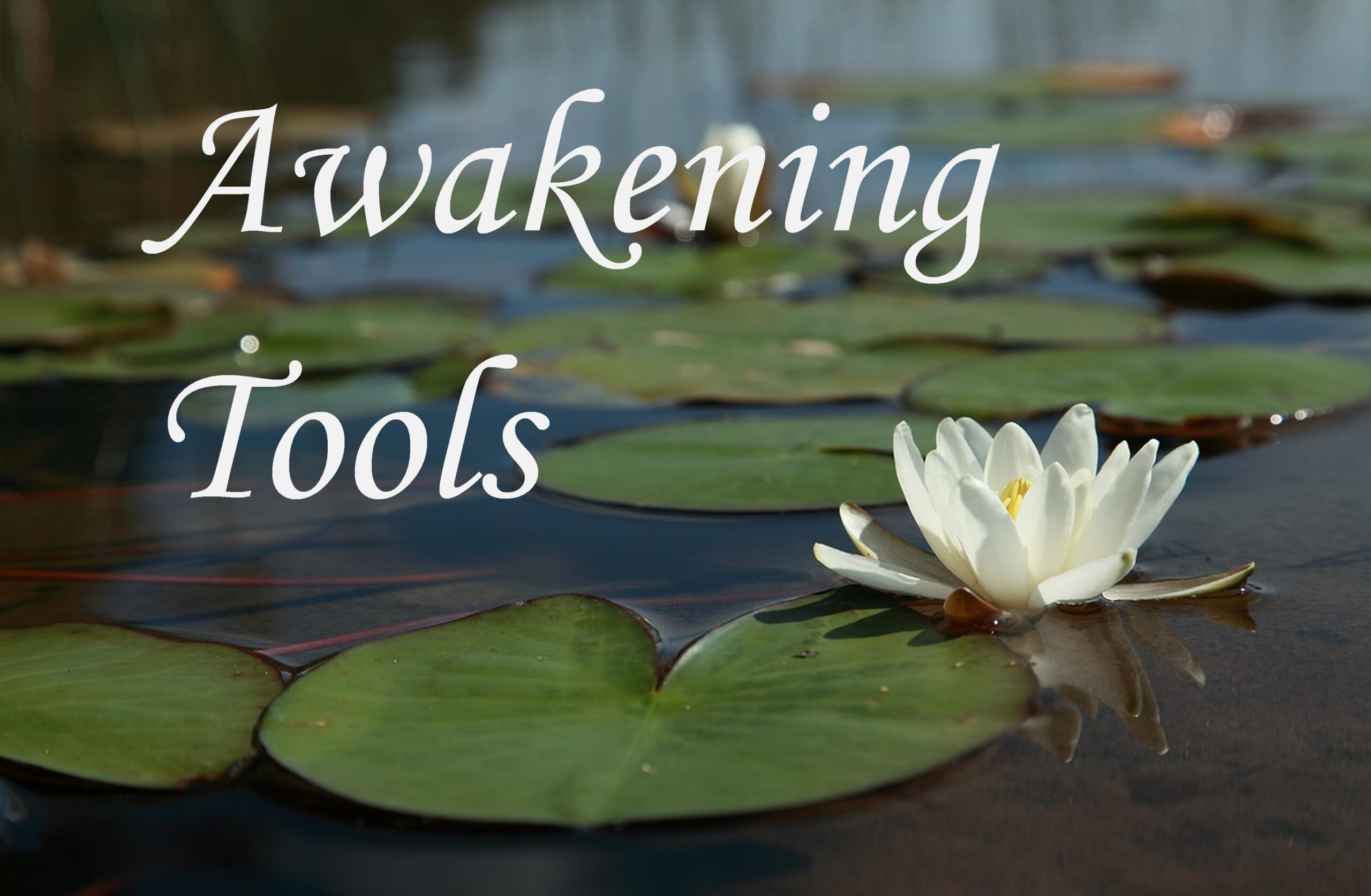 Awakening Tool: Gratitude - Spiritual Awakening Counselor