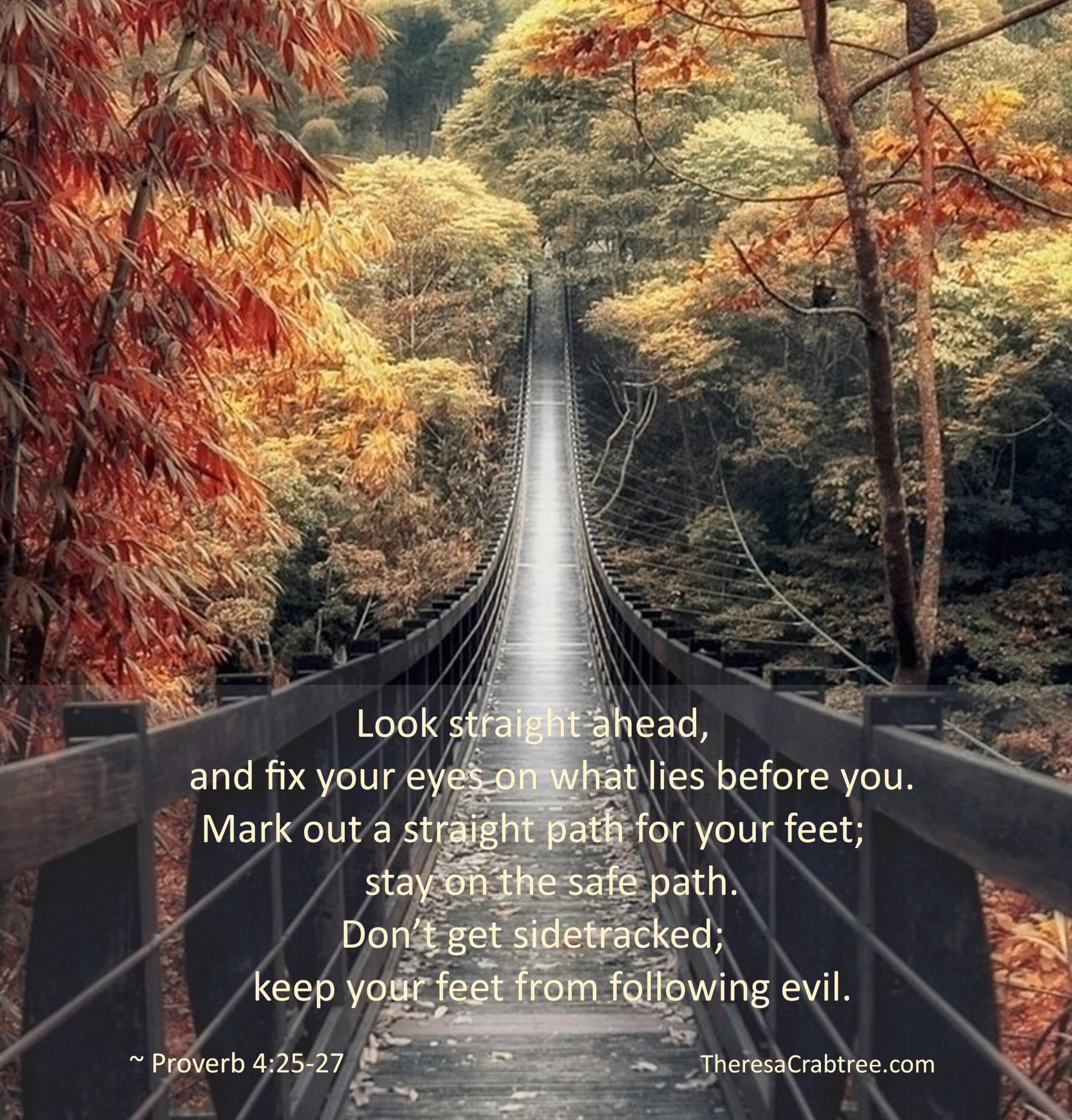 Straight Path - Spiritual Awakening Counselor